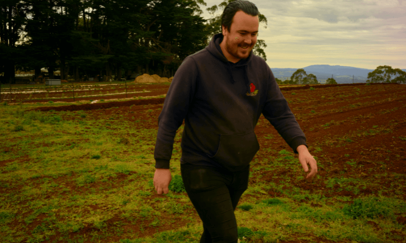 Spurrell Foraging | Supplier Case Study | Ordermentum | Ordermentum